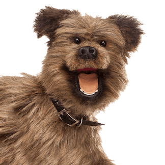 Blue Peter - CBBC - BBC